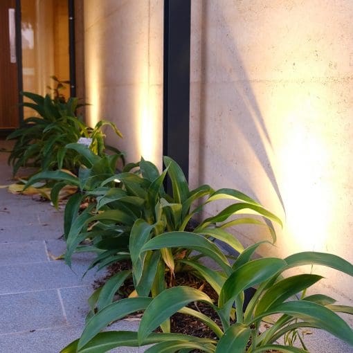 TLI-SPIKE | The Light Impact