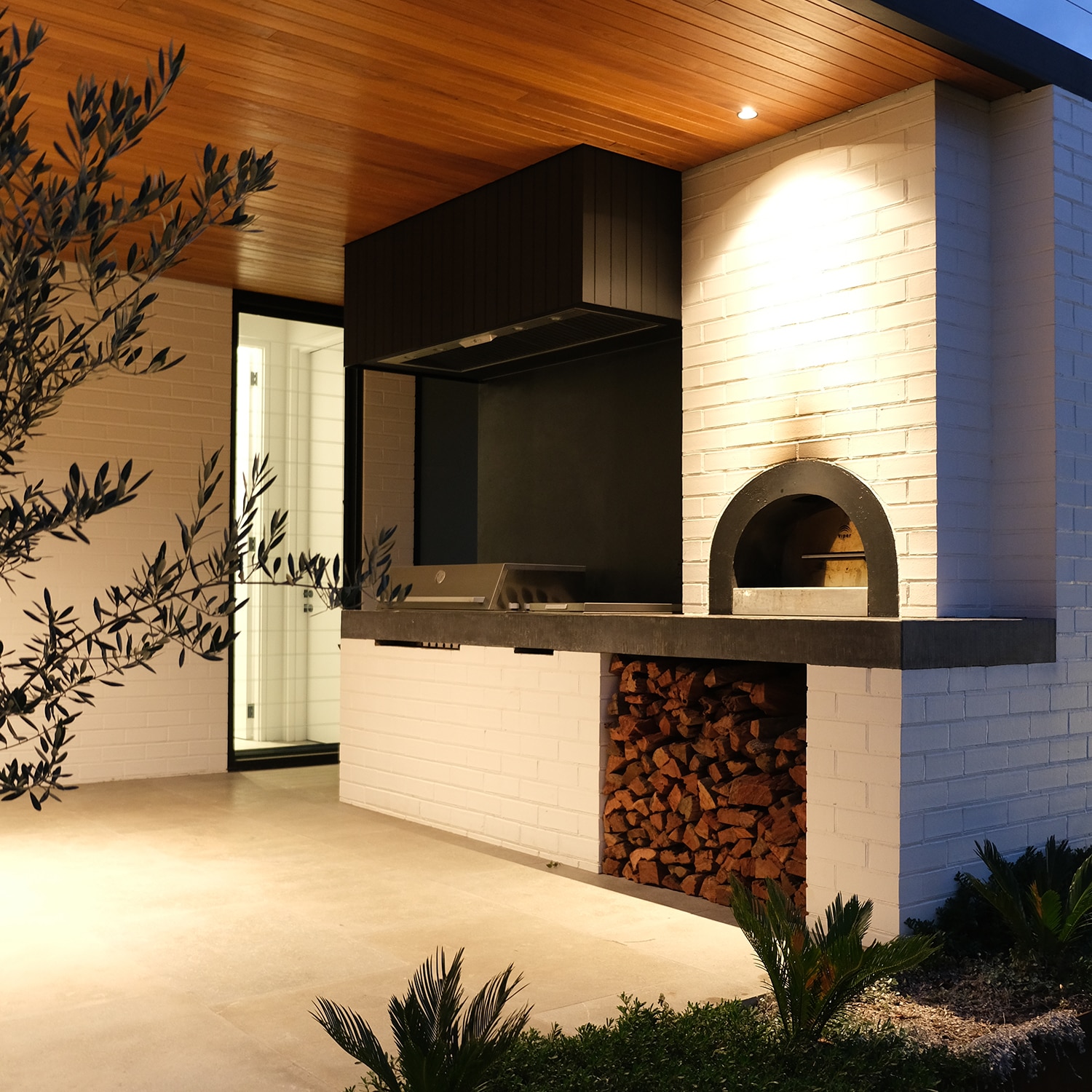 D550+ | The Light Impact