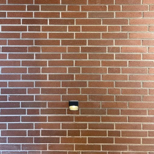 TLI-W419 | The Light Impact