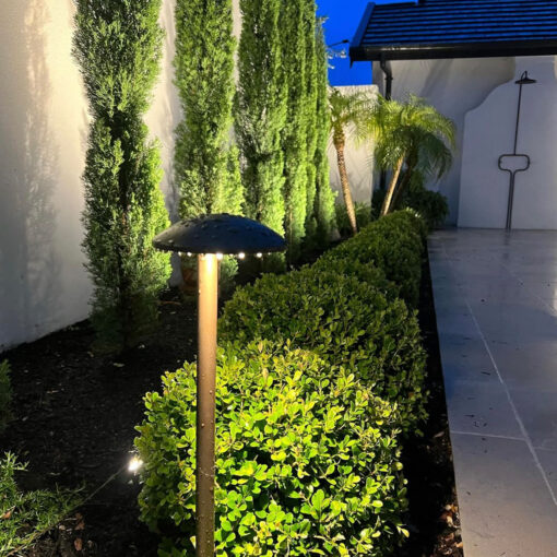 TLI-P122 | The Light Impact