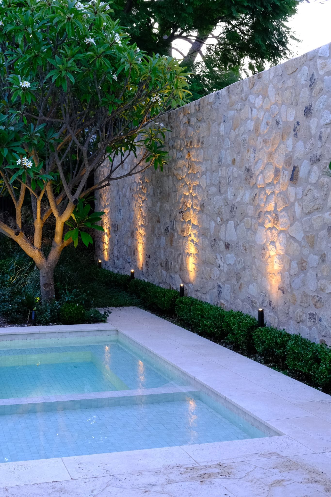 CBD | The Light Impact