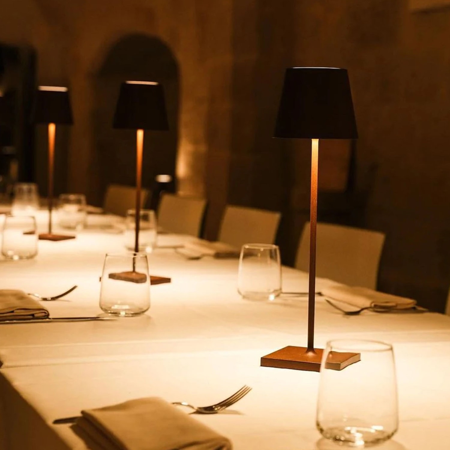 POLDINA | The Light Impact